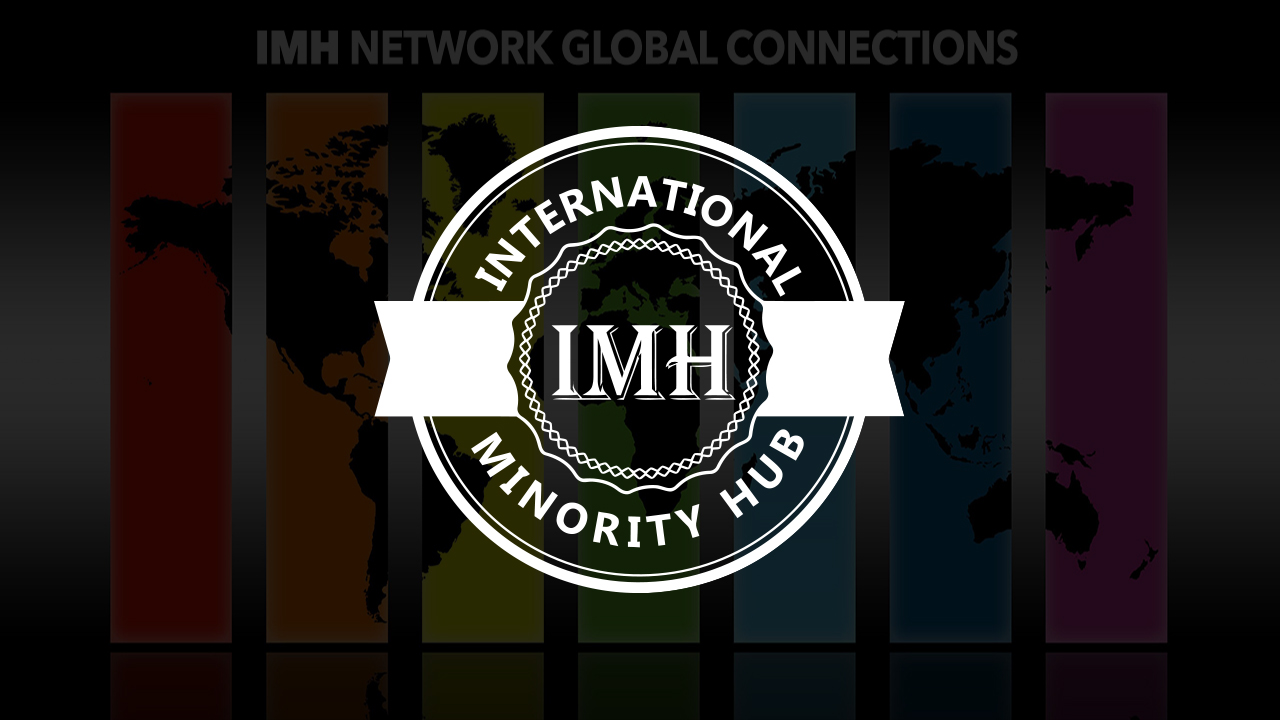 What We Do at IMH | International Minority Hub